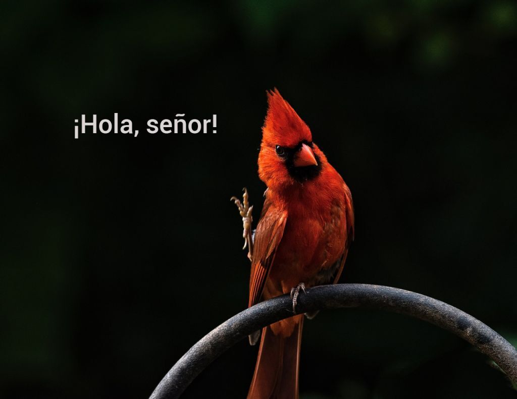 How To Say Hello In Spanish: 10 Different Spanish Greetings