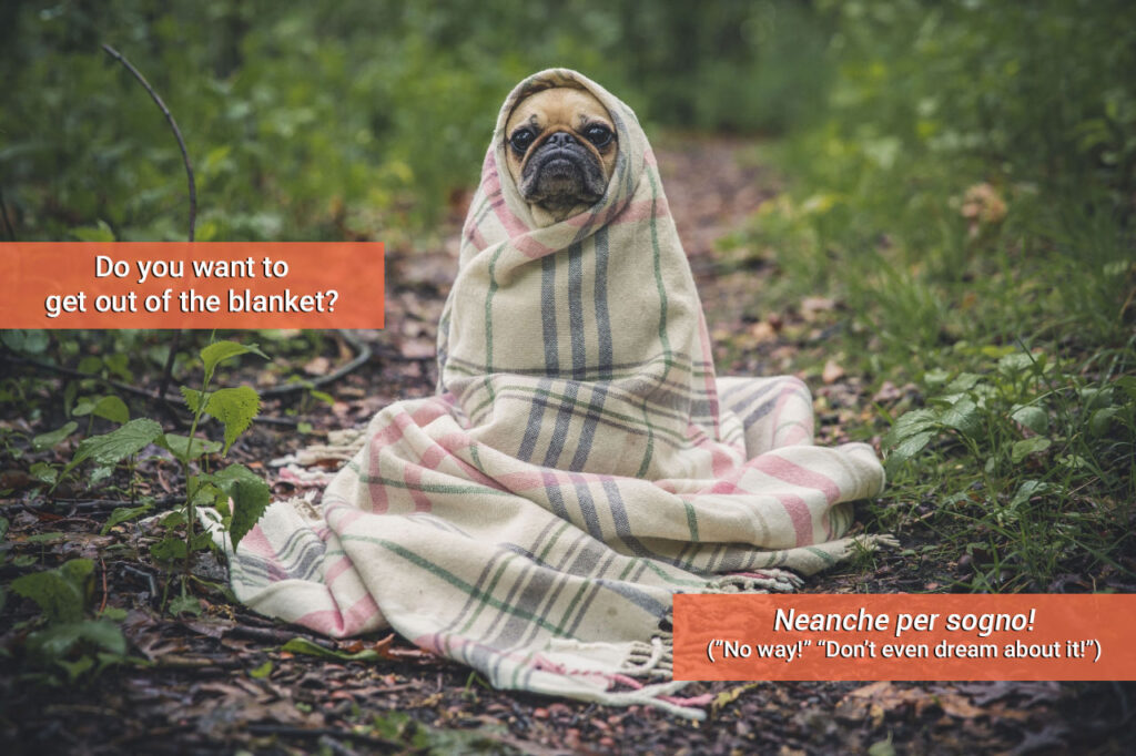 Impress Native Italians With 20+ Italian Expressions & Slang Words