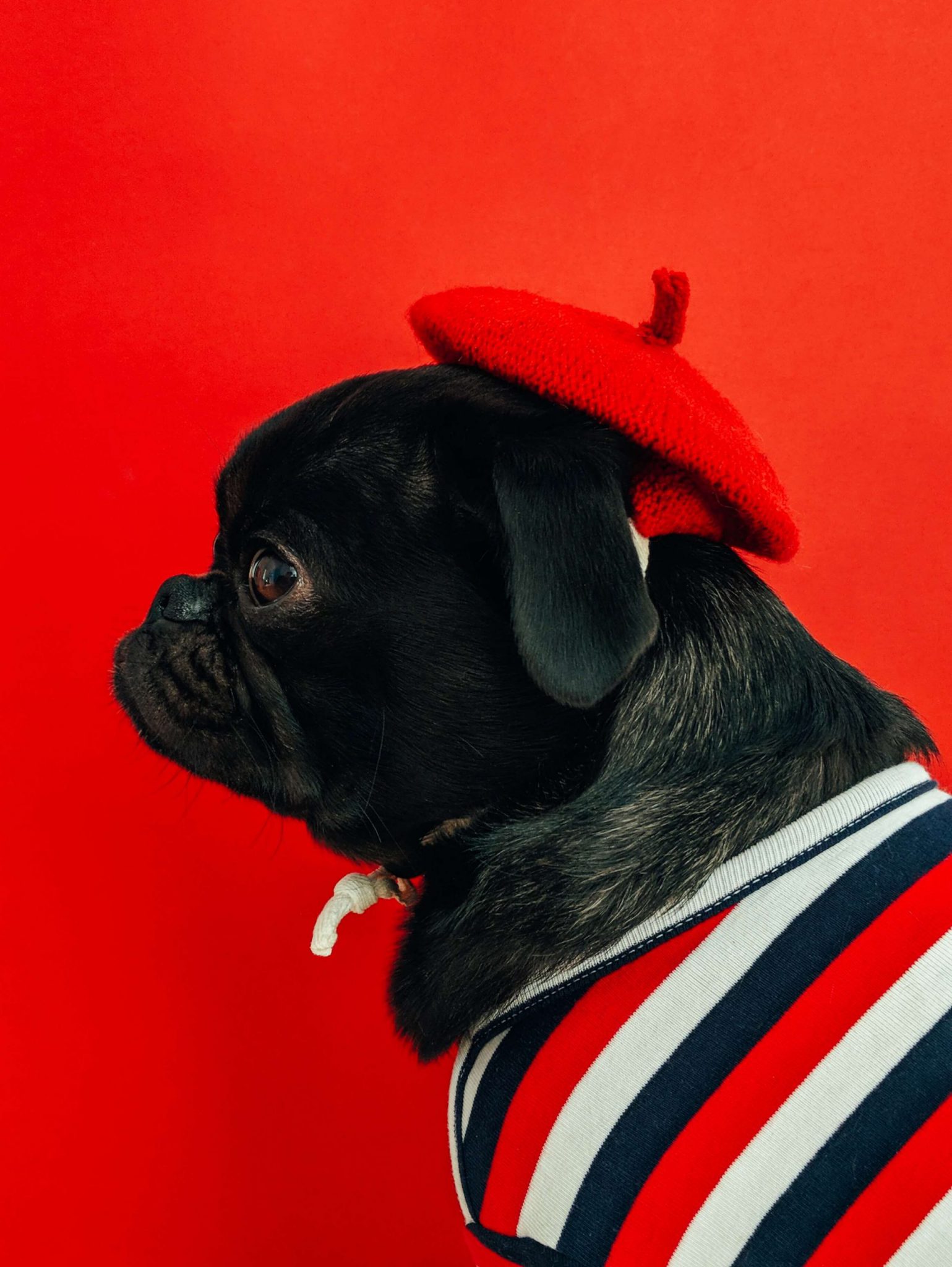 French Greetings: How To Say Hello In French