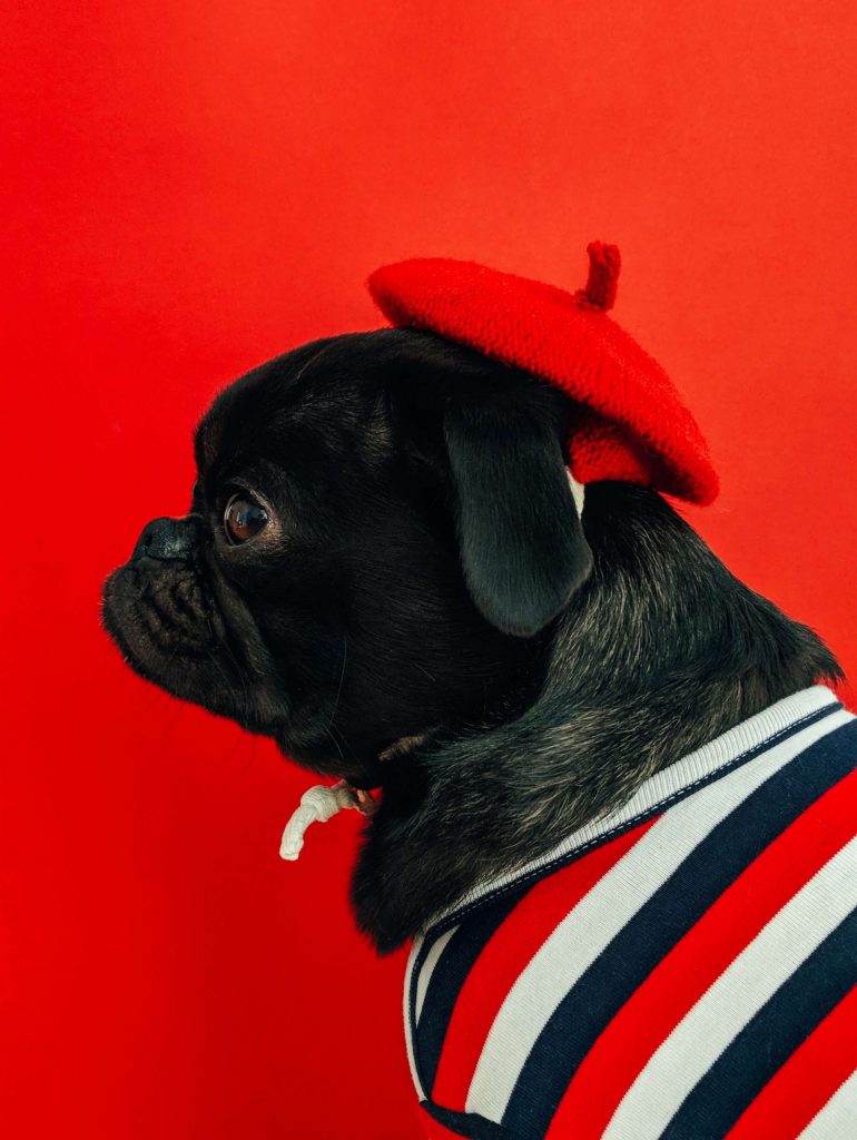 French Greetings: How To Say Hello In French