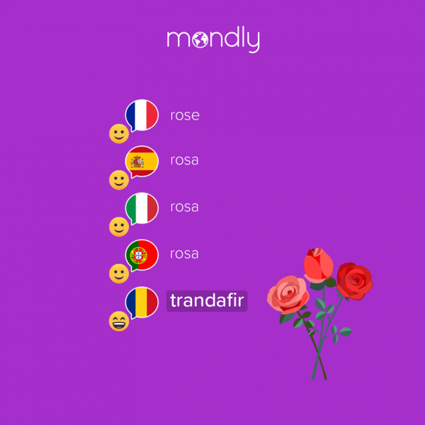 Learn Romanian With An App Made By Romanians