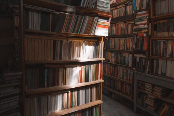 Read In French: 20+ Best French Novels For Beginners