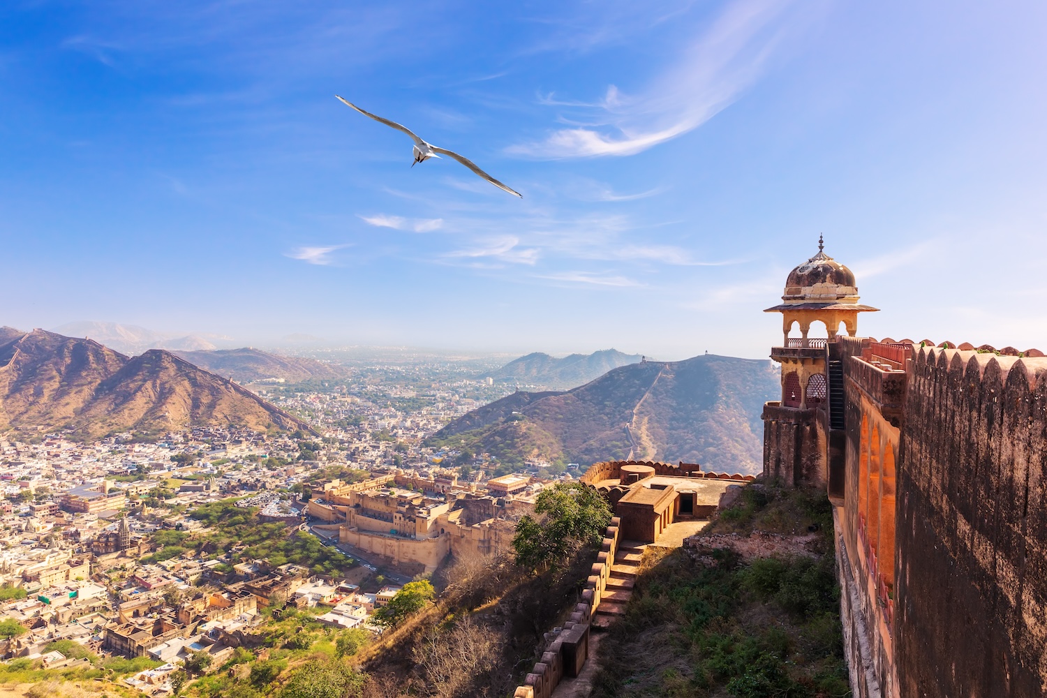 India's Linguistic Diversity: What Language Do Indians Speak?